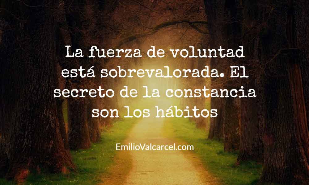 Descubre cómo la teoría de la voluntad puede ayudarte a alcanzar tus ...
