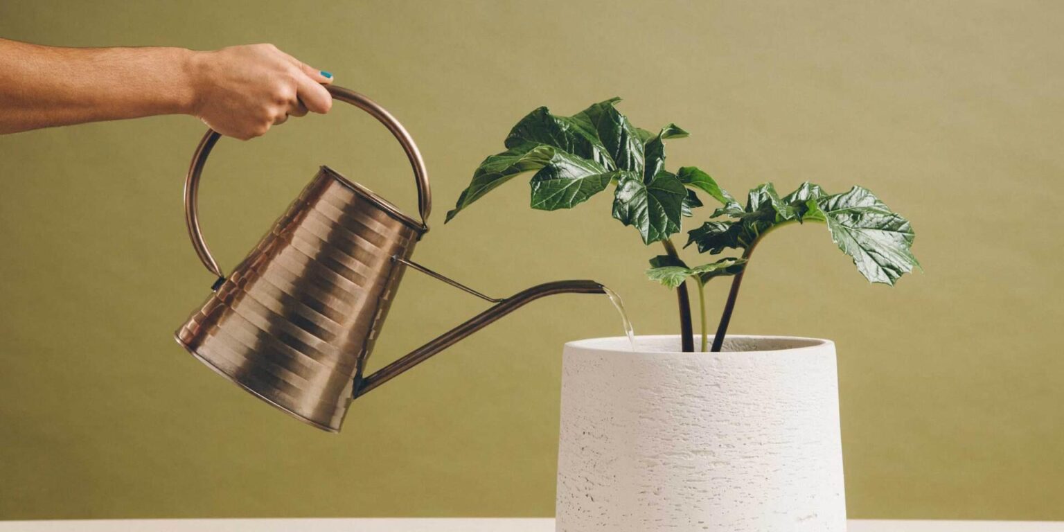 La Teoría de Alex Hrdlicka: Descubre sus Secretos ★ Teoría Online