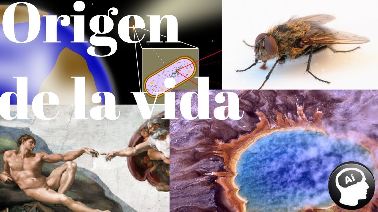 Descubre quién propuso la teoría del origen de la vida: una mirada a ...